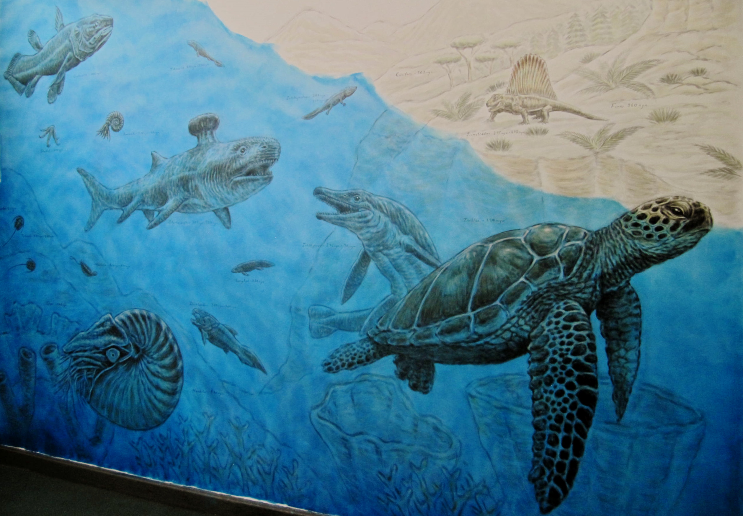 realism (science mural)